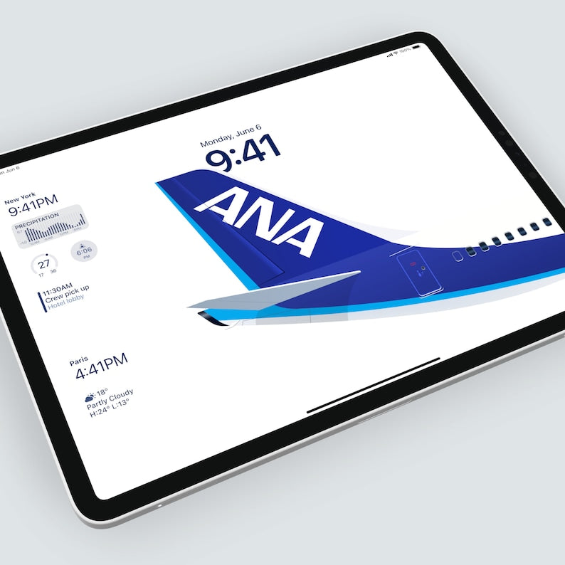 ANA iPad Wallpaper – Plane Sticker