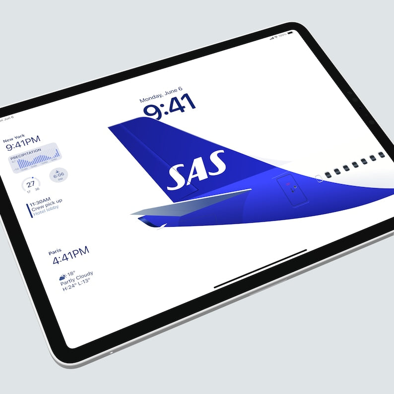 SAS Scandinavian iPad Wallpaper – Plane Sticker
